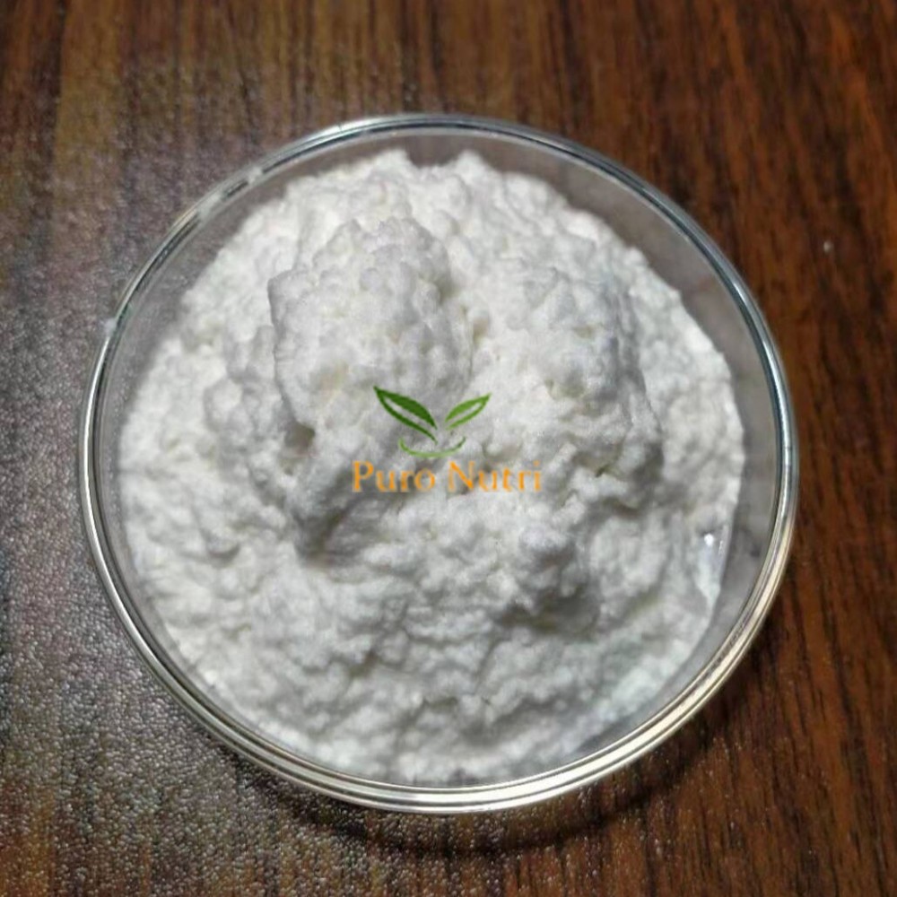 Spongilla Spicule Freshwater Hydrolyzed Sponge Skin Conditioning Spongilla Spicule Freshwater Hydrolyzed Sponge Skin Conditioning